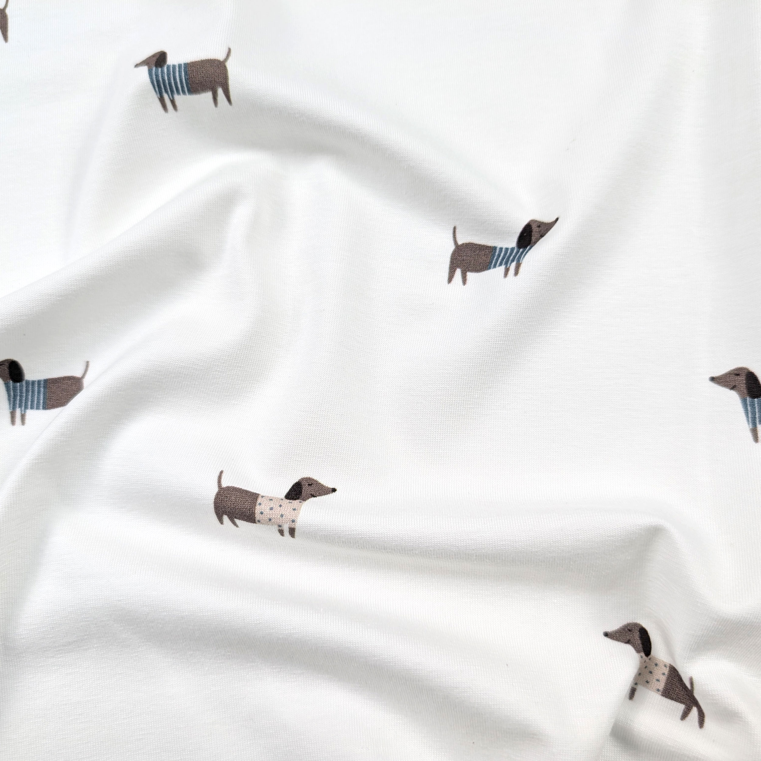 Cotton jersey Dolci Bassotti | Panini