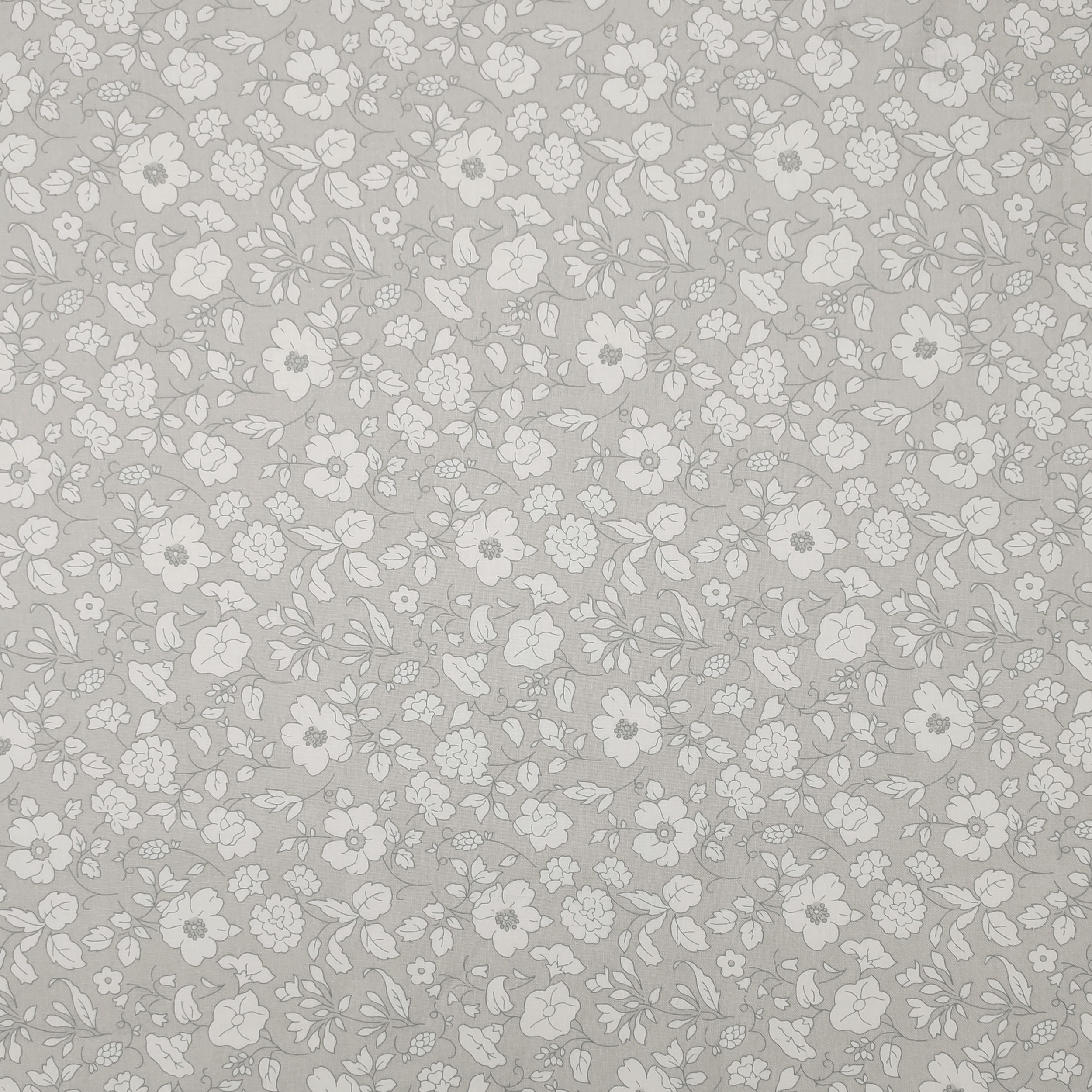 Cotton White Flowers Grey Background