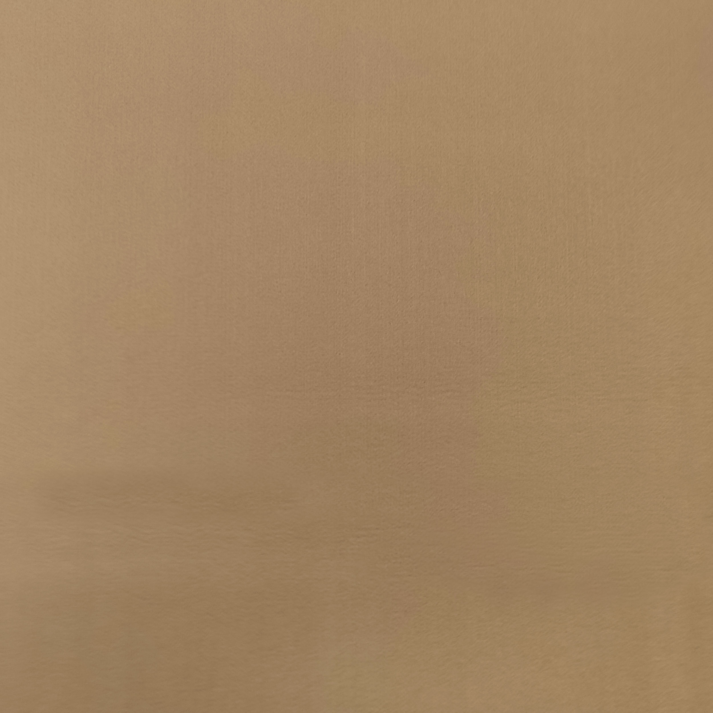 VIP Felt Fabric in Beige Color