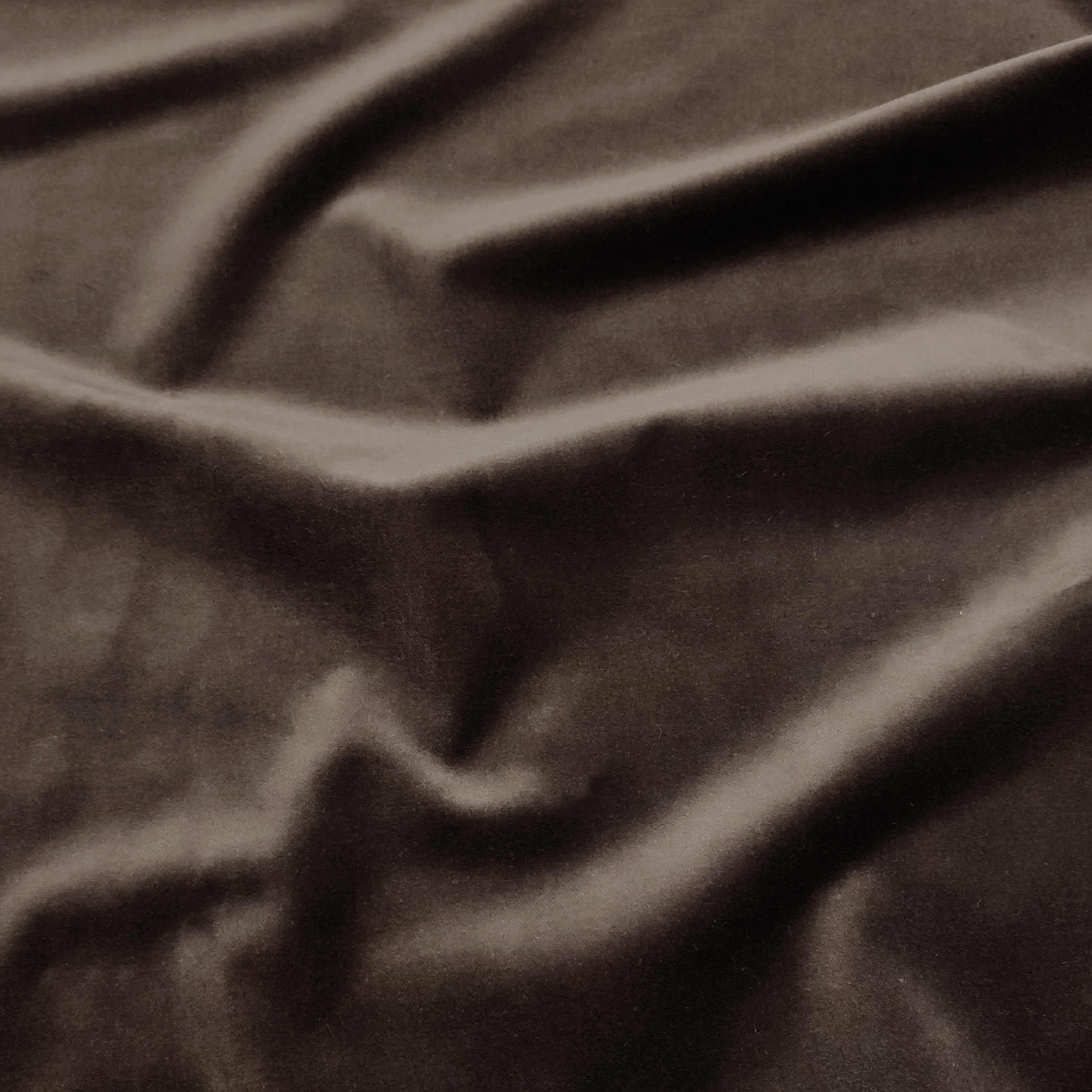 Dark Brown Cotton Velvet | Panini